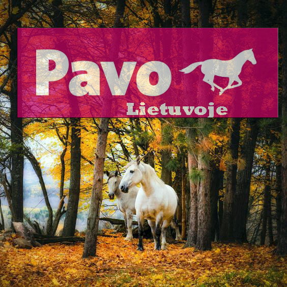 Veisimui Archives - Pašarai Žirgams